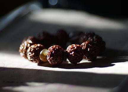 Rudraksha Real Or Fake: কীভাবে চিনবেন ভাল রুদ্রাক্ষ? ধারণ করার আগে ...