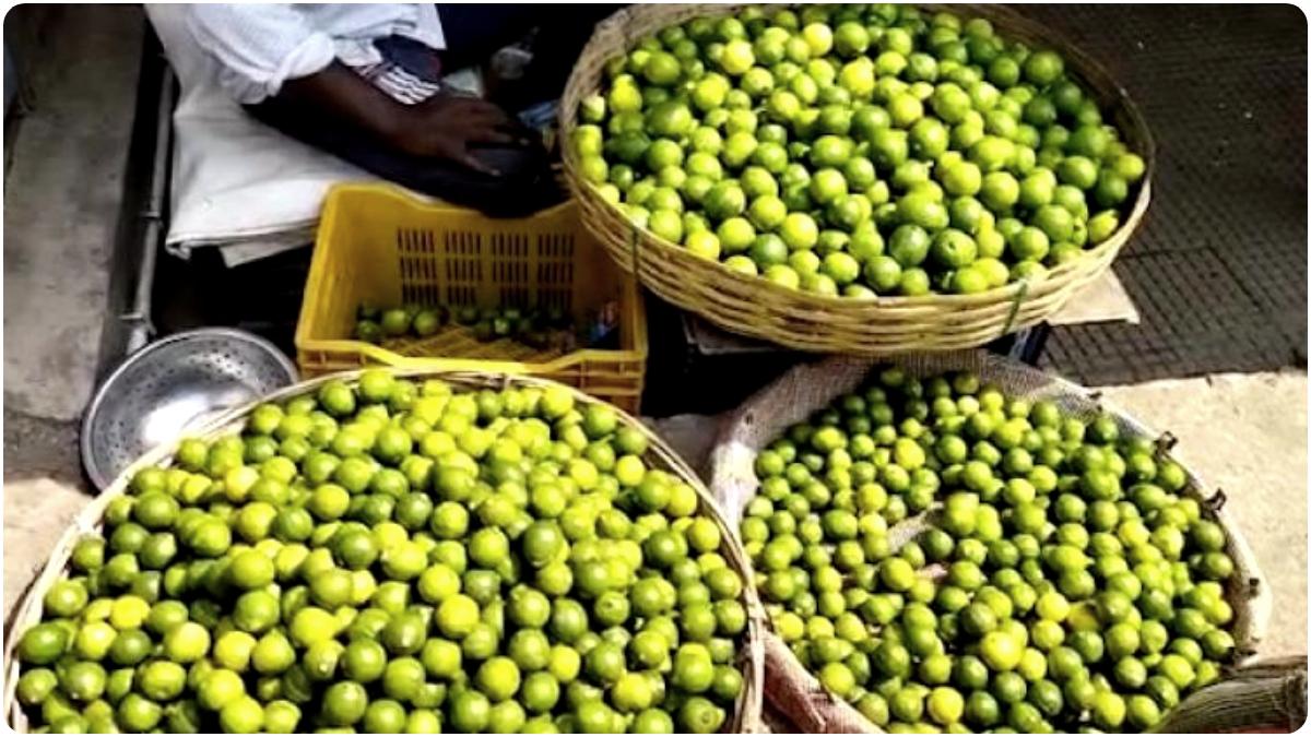 Lemon Price Hike: গরম বাড়তেই ঊর্ধ্বমুখী পাতিলেবুর দর, এক মাসে দাম ...
