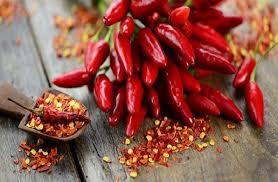 Red Chilli Astro Benefits: ঘুমিয়ে থাকা ভাগ্য জাগাতে পারে শুকনো লঙ্কা ...
