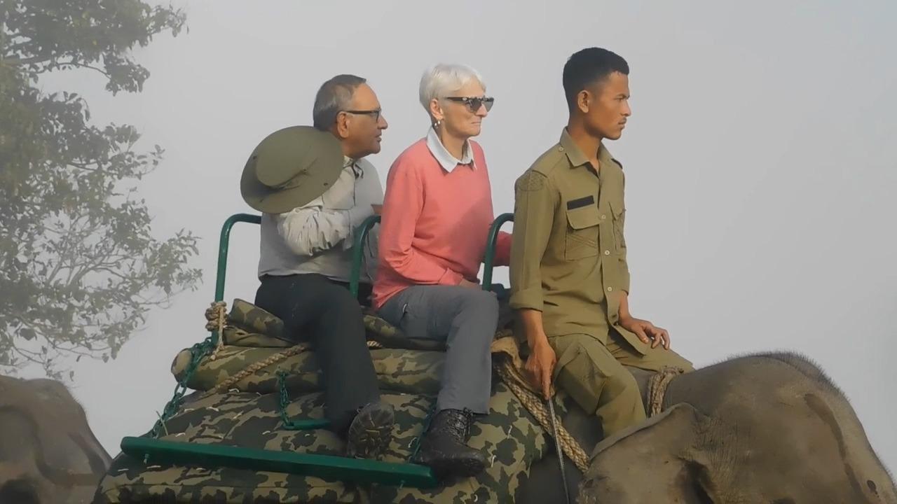 Assam: Kaziranga National Park opens elephant safari for tourists