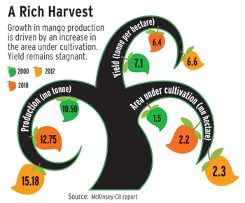 Capricorn Food is among top mango processors in India - BusinessToday