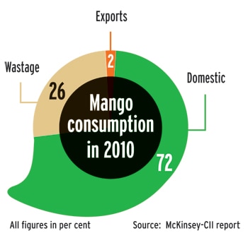 Capricorn Food is among top mango processors in India - BusinessToday