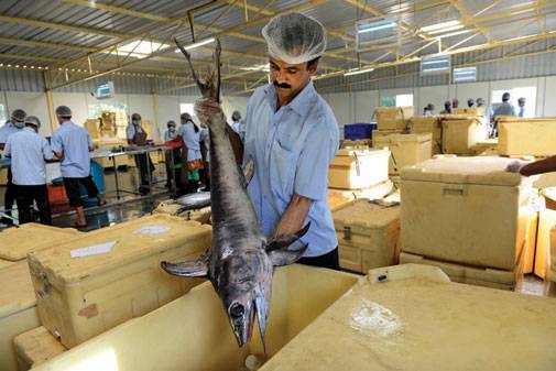 How a techie set up a fresh meat delivery firm - BusinessToday