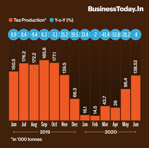 Tea production to hit multi year low in 2020 due to lockdown, floods ...