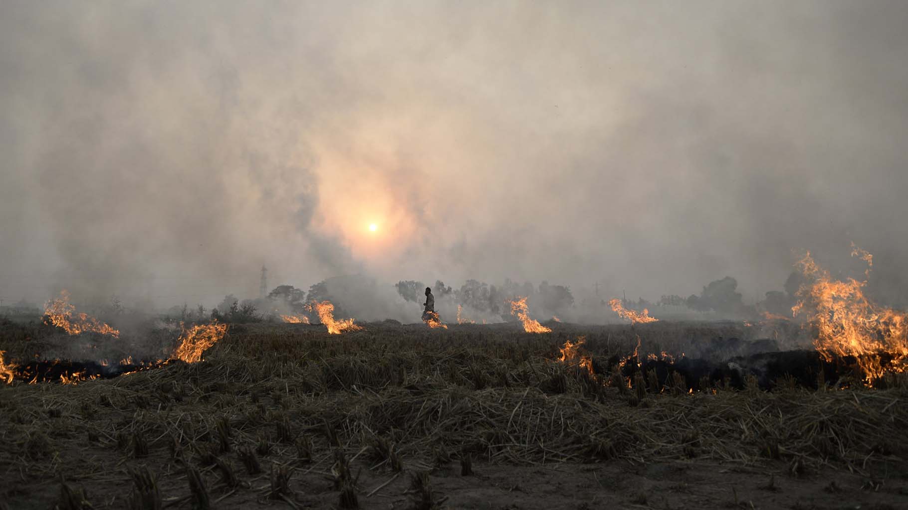 How to set a farm on fire