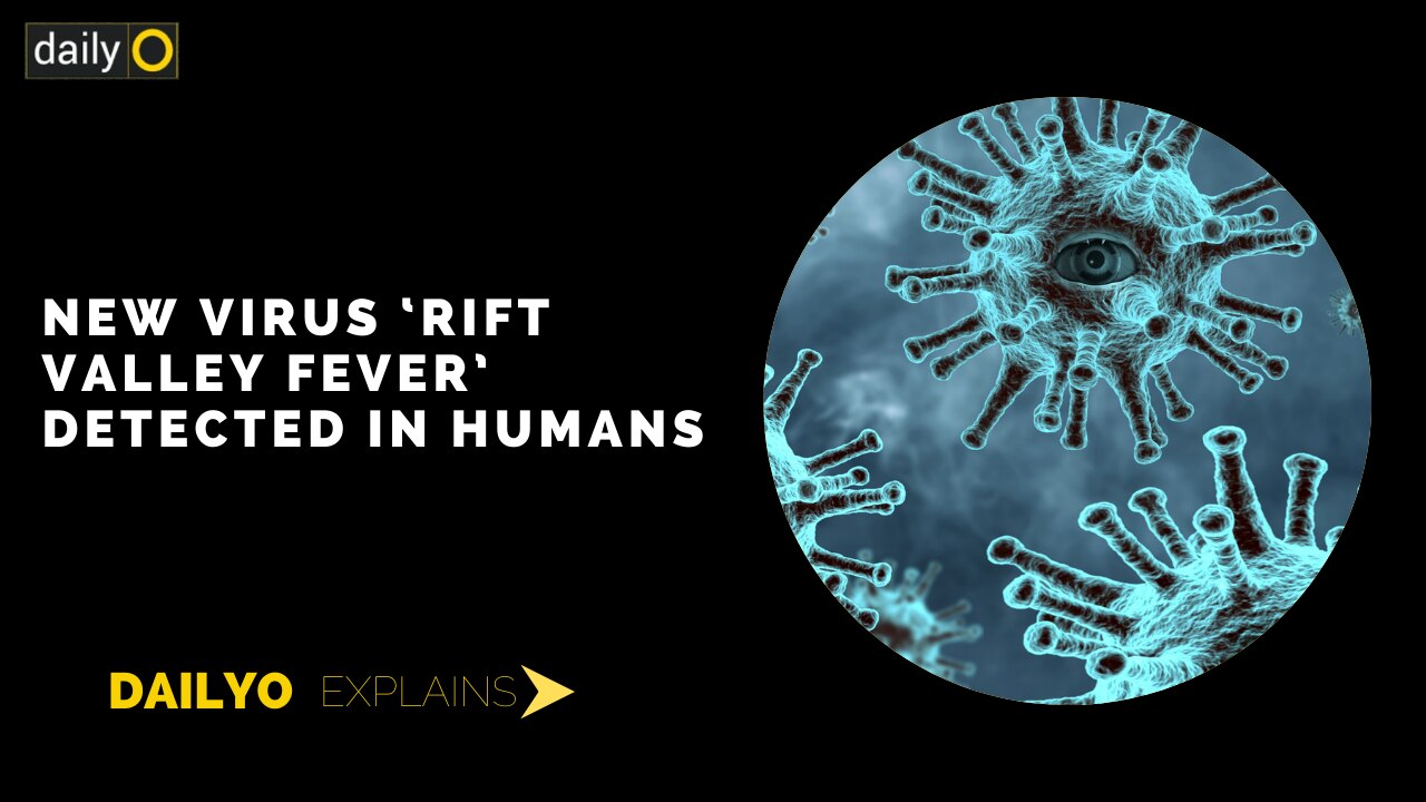 New virus Rift Valley Fever detected in humans