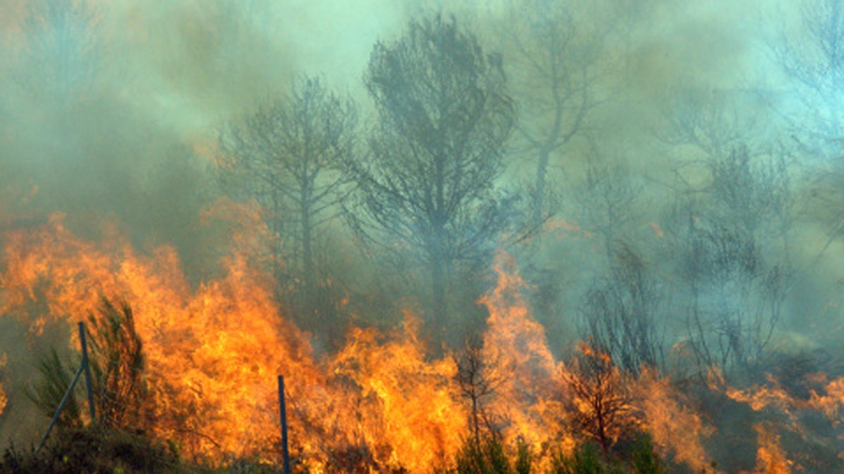 Why heatwaves and wildfires are scorching Europe
