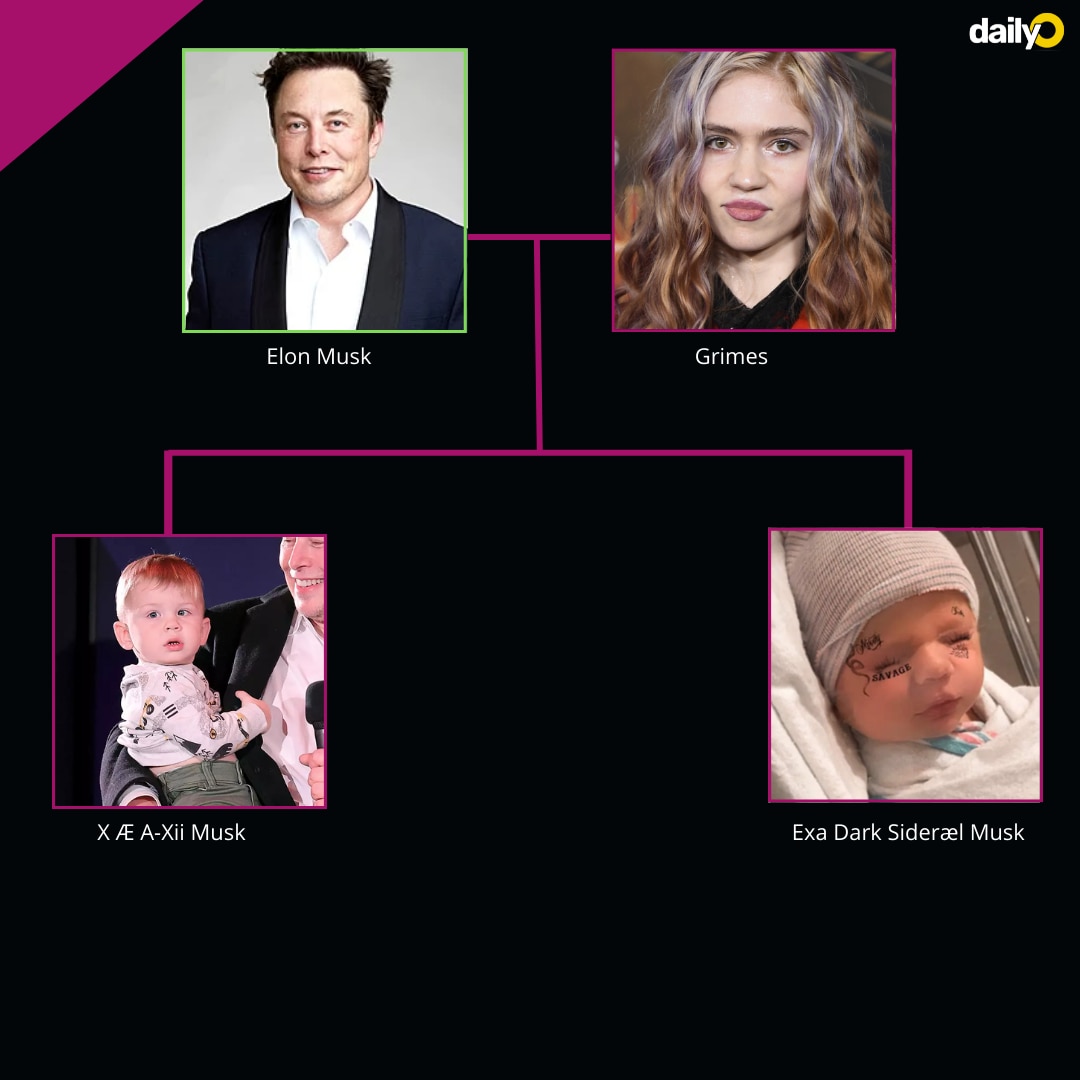 The Elon Musk Family Tree