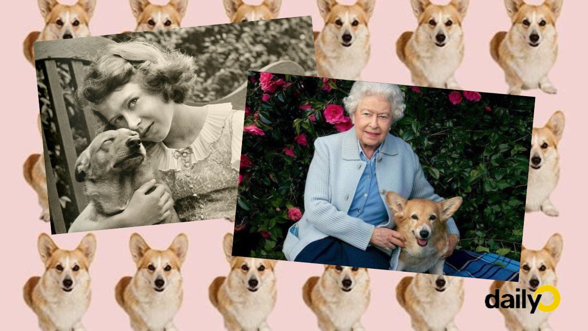 Queen Elizabeth Dogs Corgi