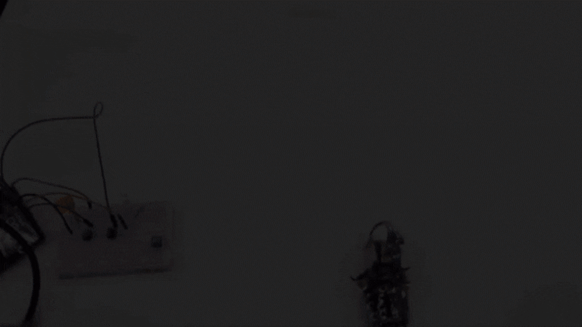 Scientists are now creating cyborg cockroaches. You can remote-control them