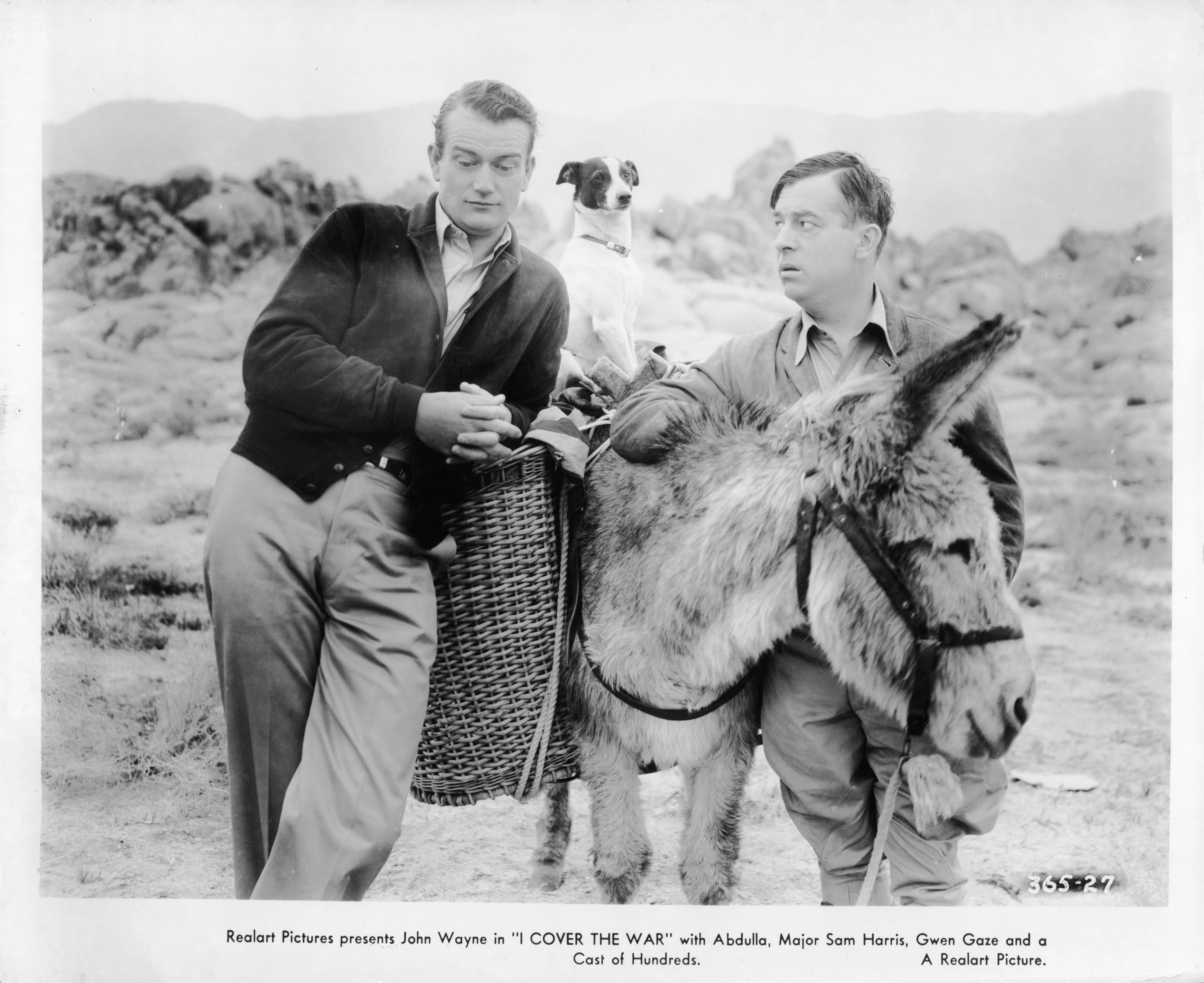 Donkeys are taking over Oscars 2023