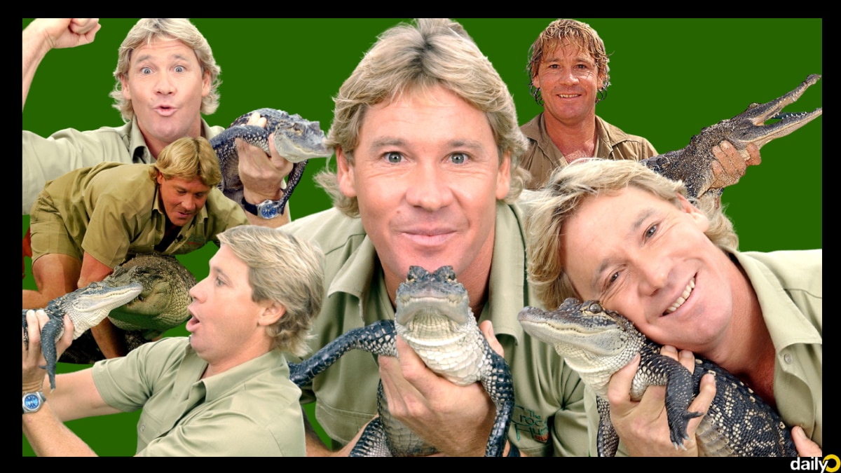 Why does the world love Steve Irwin so much?