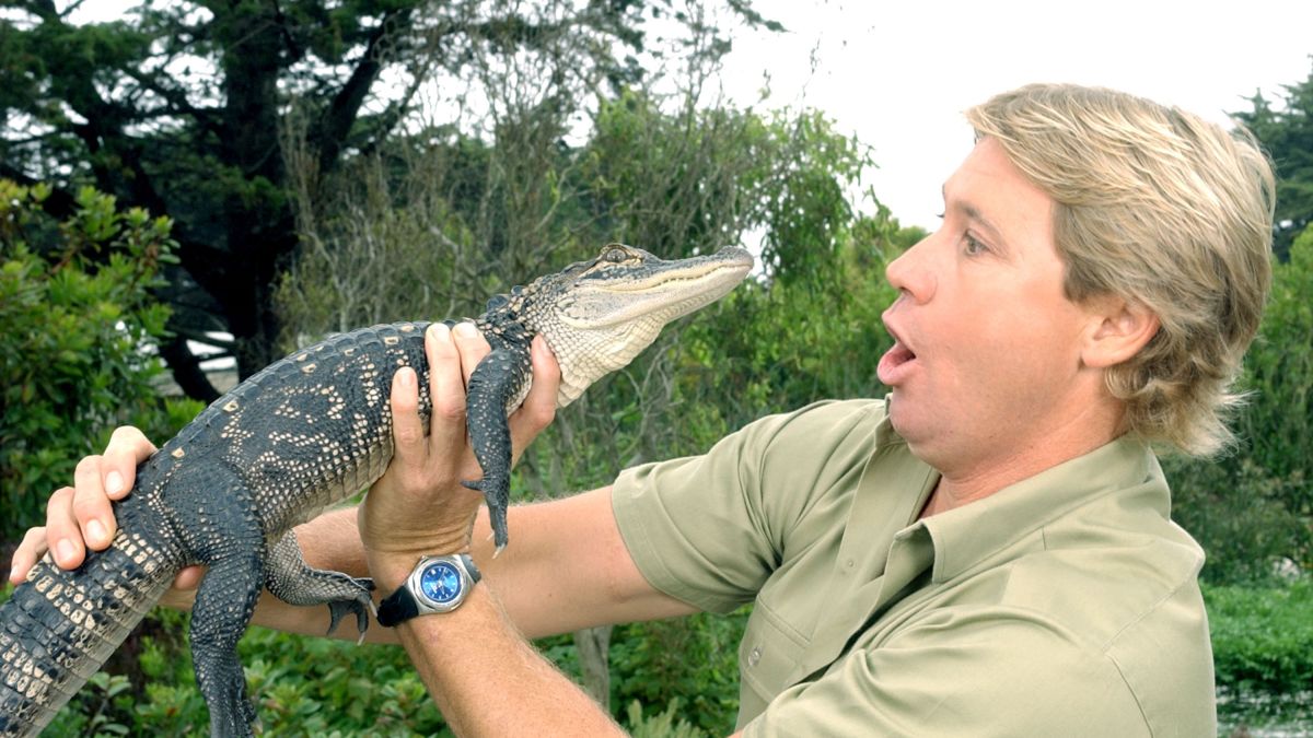 Why does the world love Steve Irwin so much?