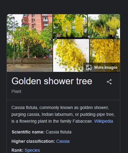 What is the Golden Shower kink featured on You Season 4 on Netflix?
