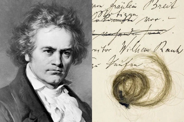 Science Wrap: A 3D-printed rocket, meat grown in labs, and Beethoven's DNA