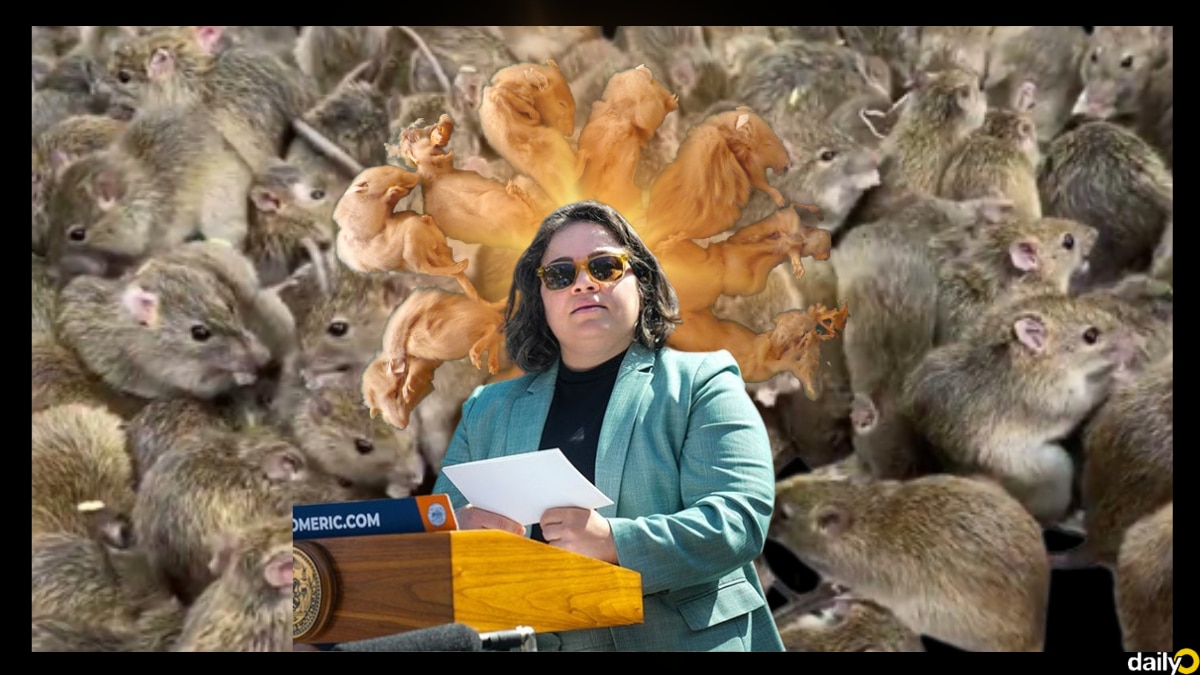 New York City now has a Rat Officer, and her only job is to get the ...