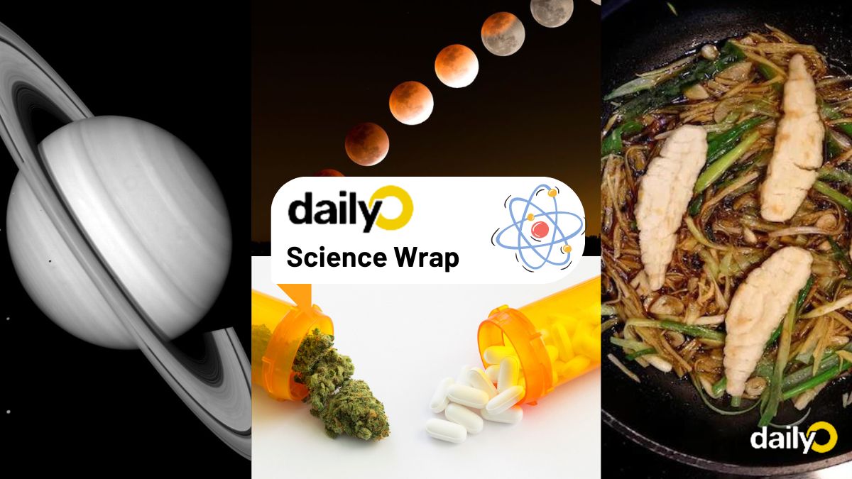 Science Wrap: Saturn rings disappear, a 3D-printed fish, and 2023's ...