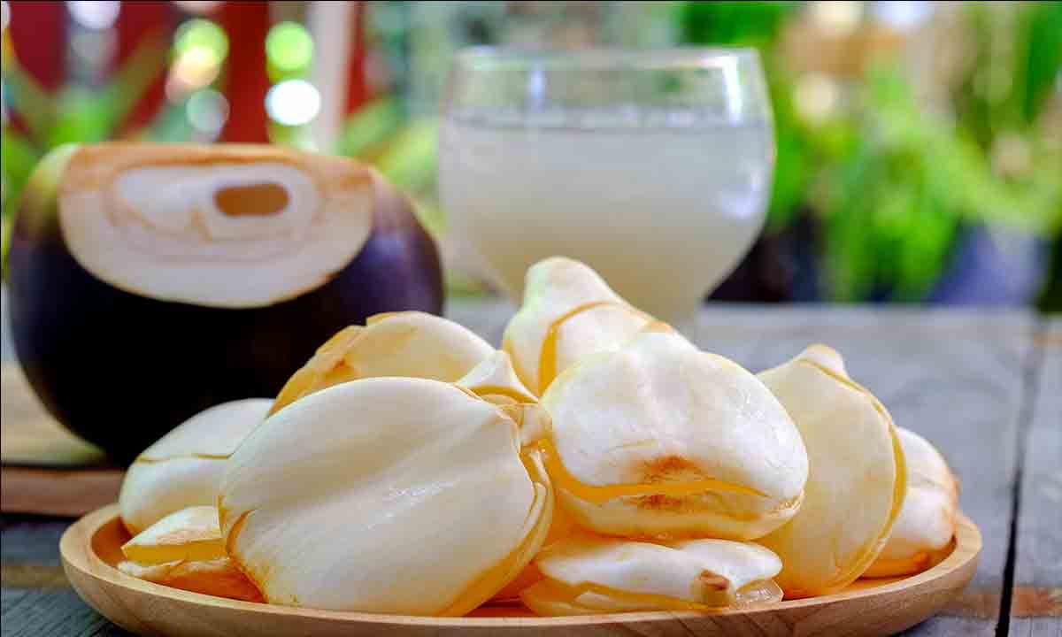 Indian Ice Apple is trending on Instagram, but how many of its hidden ...