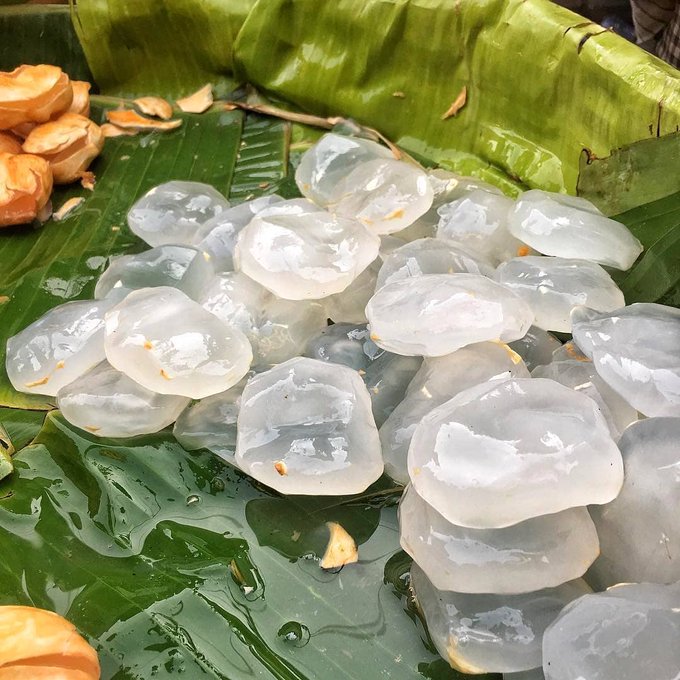 Indian Ice Apple is trending on Instagram, but how many of its hidden ...