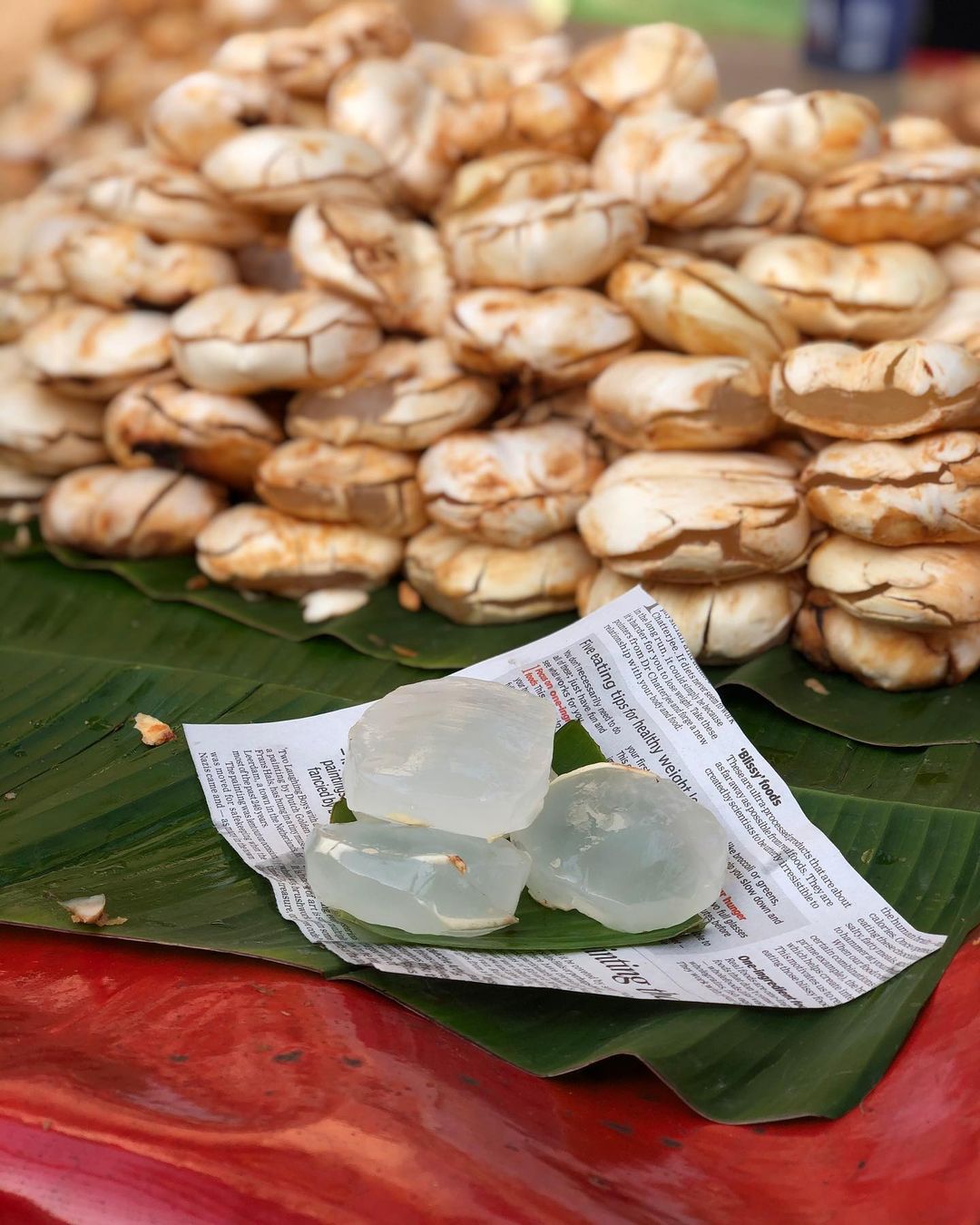 Indian Ice Apple is trending on Instagram, but how many of its hidden ...