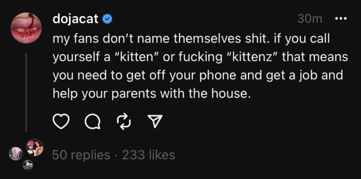 Doja Cat in a catfight with fans all over again, blame Kittenz