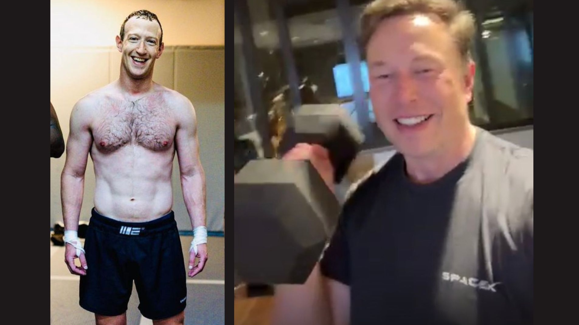 Elon Musk says Musk vs Zuck cage fight will be livestreamed on X, Zuck ...