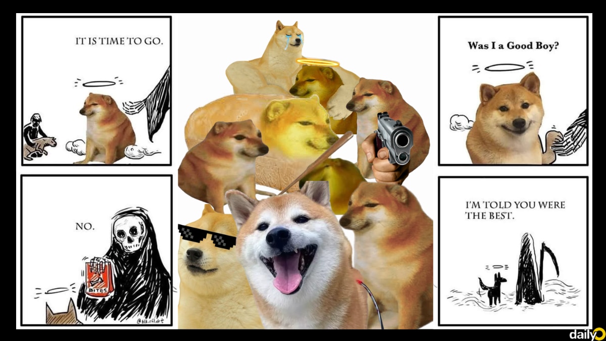 Why the Shiba Inu Cheems was such a loveable internet sensation