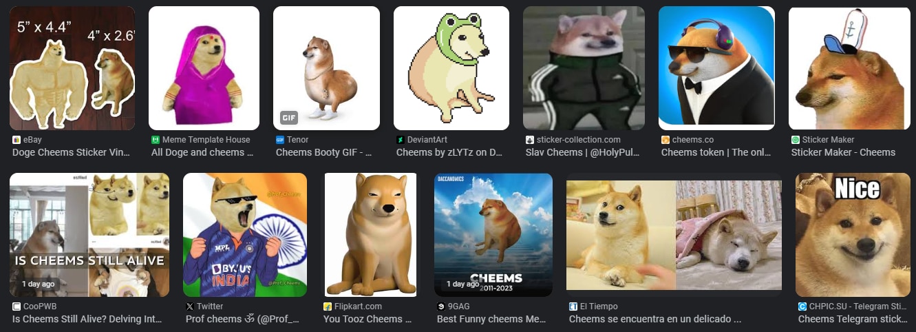 Why the Shiba Inu Cheems was such a loveable internet sensation