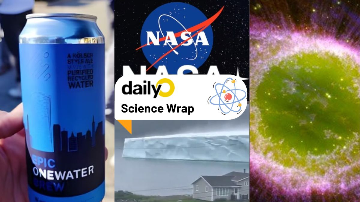 Science Wrap: Beer from wastewater, iceberg spectacle, and NASA's ...