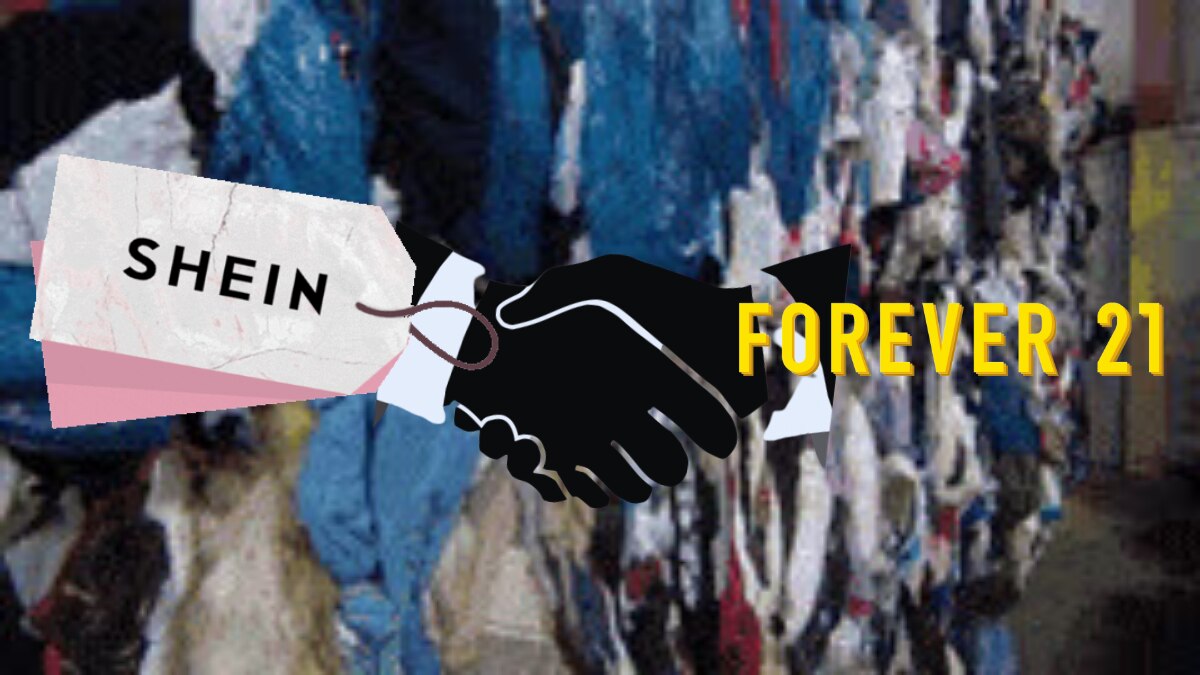 Fast Fashion Friends: Shien strikes a deal with Forever 21