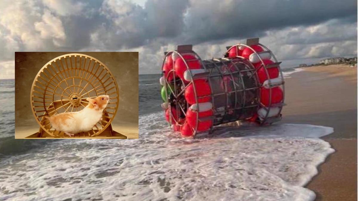 US man tried to cross the Atlantic on a homemade hamster wheel. He ...