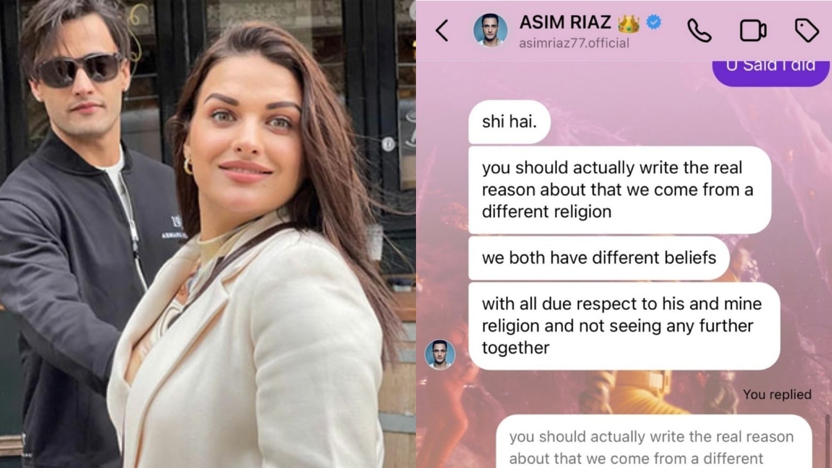 Himanshi Khurana leaks chat with Asim Riaz after break-up 'over ...
