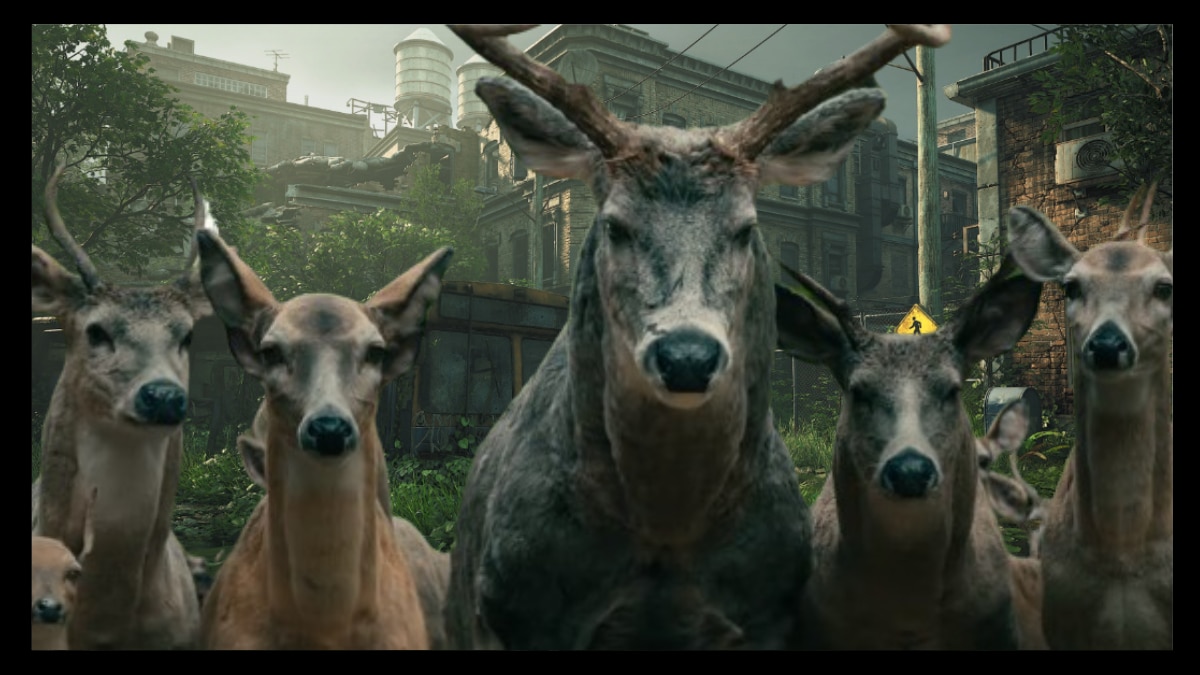 A 'zombie deer disease' is infecting animals in the US. But could it ...