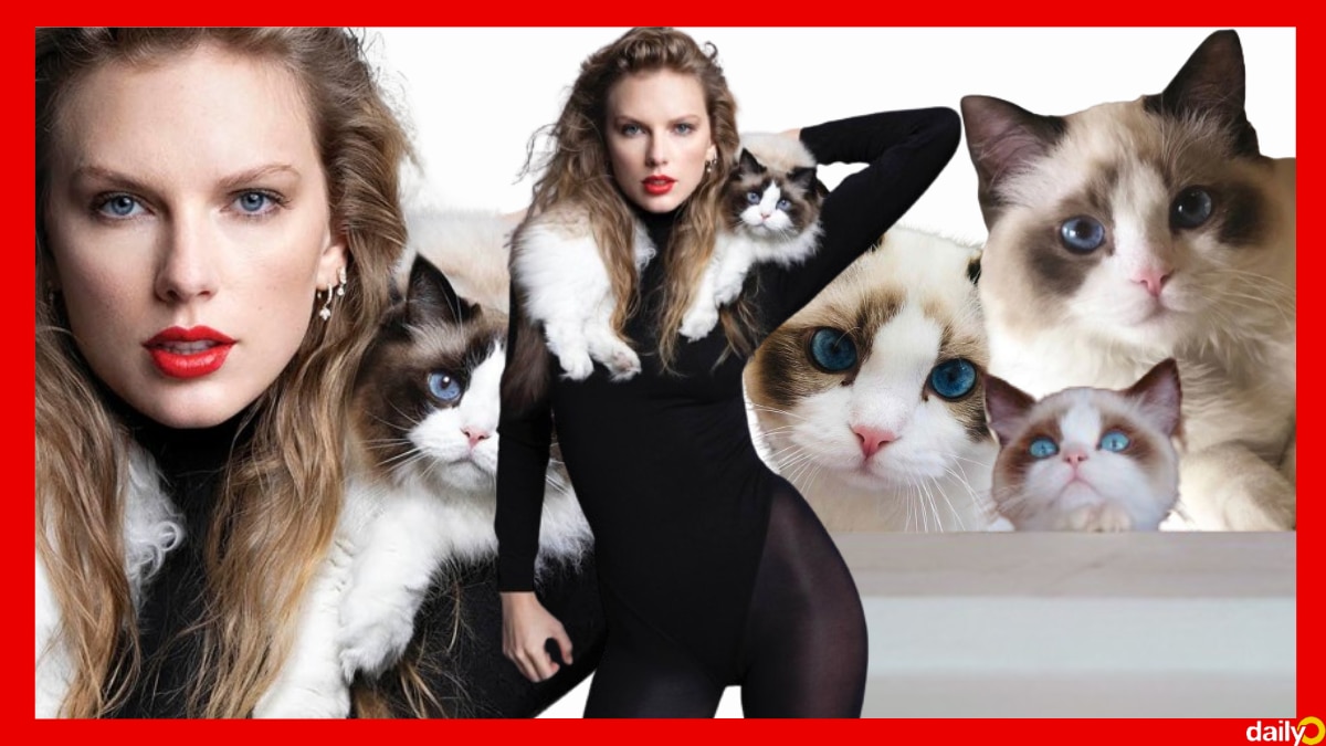 Taylor Swift makes history with the first cat on the cover of Time ...