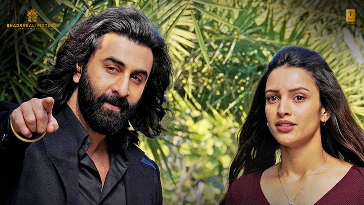 Animal leaked viral videos make Triptii Dimri the National Crush of India