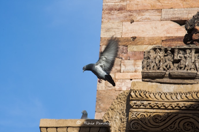 Joy of rediscovering the majesty of Qutub Minar