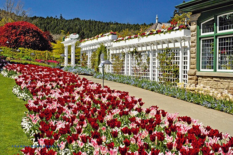 15 Exotic Gardens That Are Perfect For An Intimate Midsummer Wedding