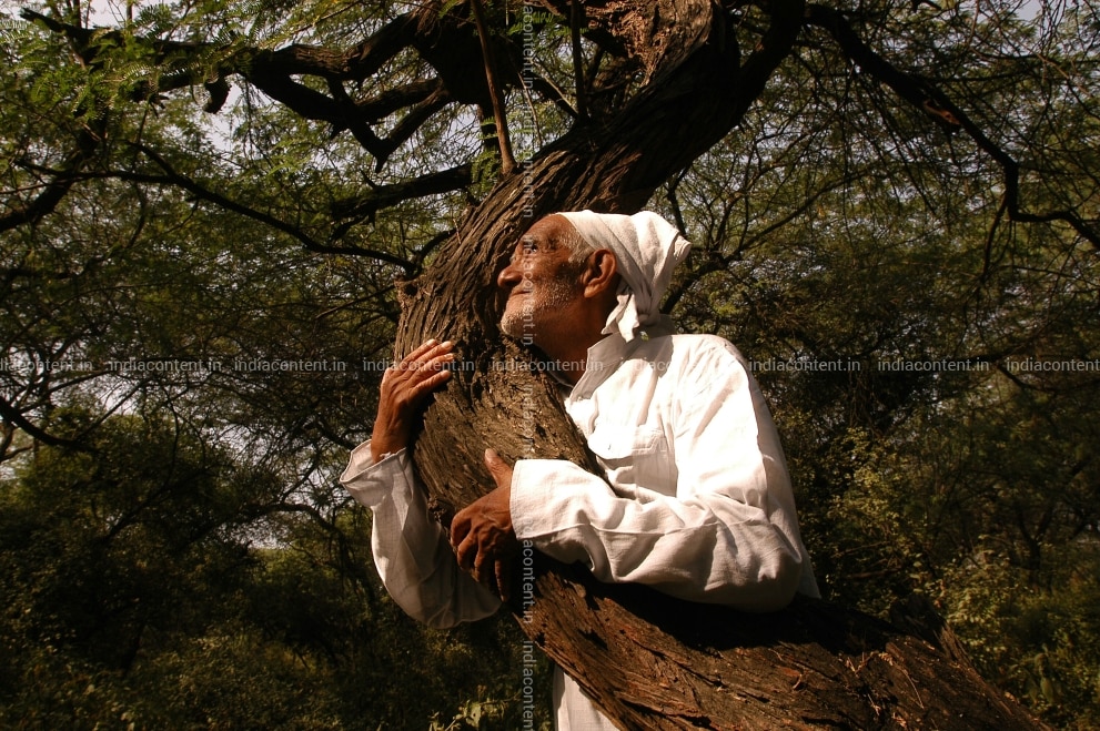 Buy SUNDERLAL BAHUGUNA Pictures, Images, Photos By BANDEEP SINGH ...