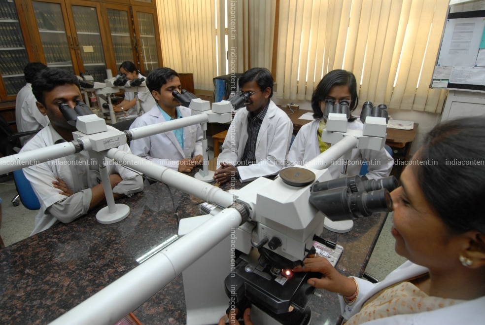 Buy AIIMS STUDENTS Pictures, Images, Photos By BANDEEP SINGH ...