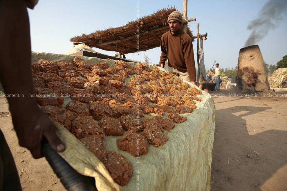 Buy JAGGERY MAKING Pictures, Images, Photos By REUBEN SINGH - Business ...