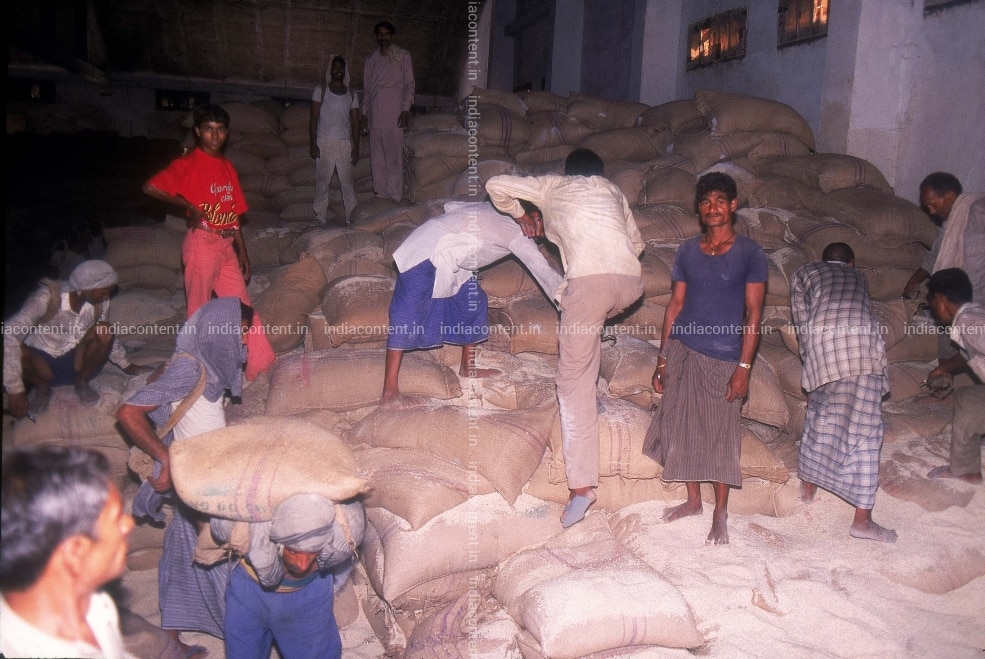 Buy FCI GODOWN Pictures, Images, Photos By Negi Yasbant - Archival pictures