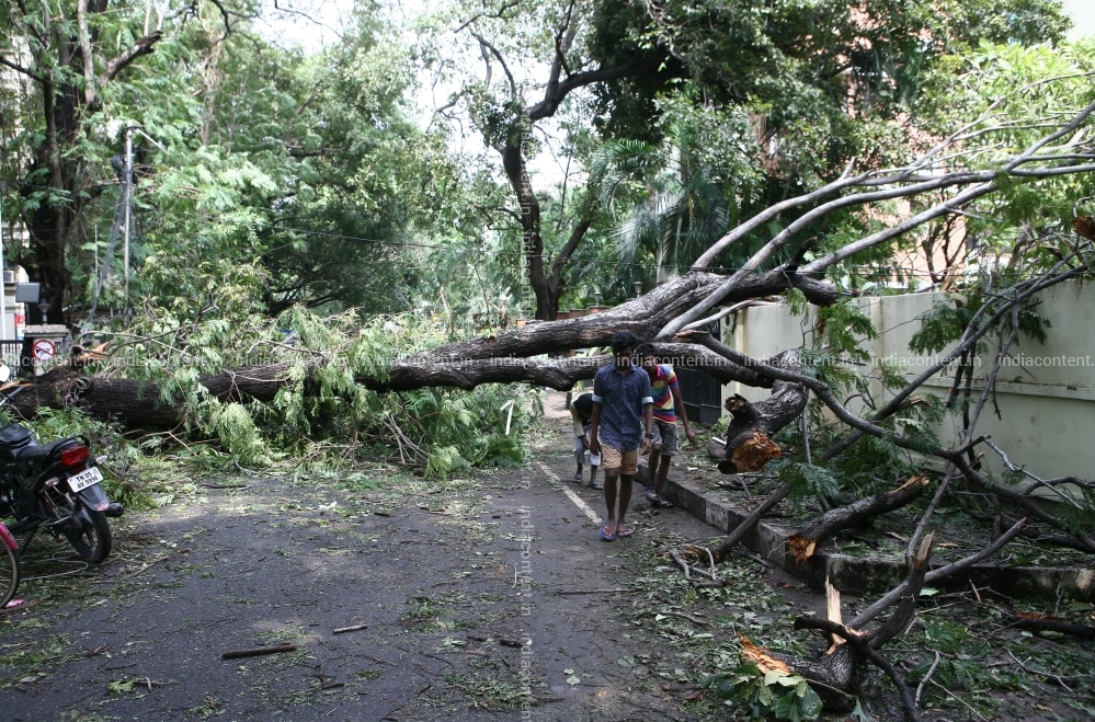 Buy Cyclone Vardha Pictures, Images, Photos By Jaison G - Archival pictures