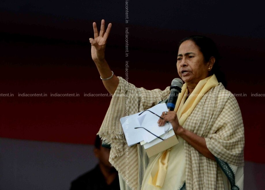 Buy West Bengal CM Mamata Banerjee during election campaign Pictures, Images, Photos By Subir ...