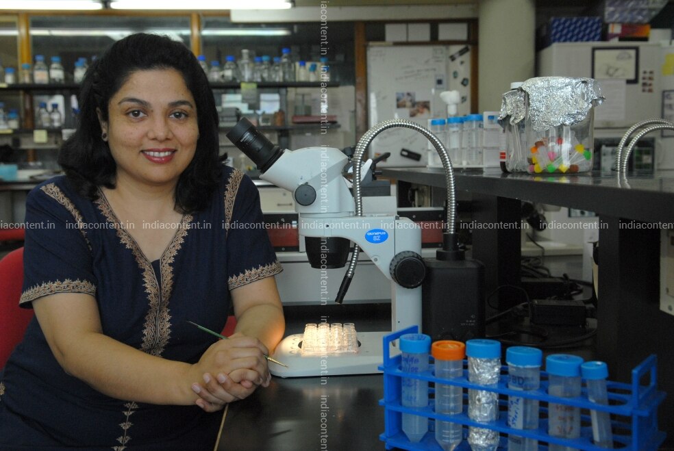 Buy SHUBHA TOLE Pictures, Images, Photos By MANDAR DEODHAR - Archival ...