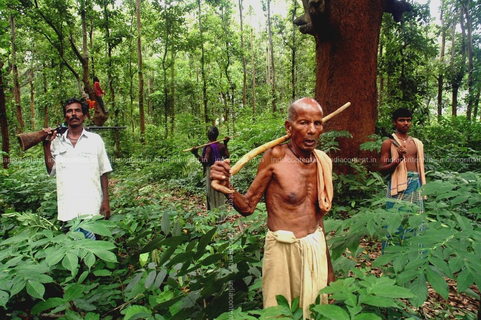 Buy JUNGLE MOVEMENT Pictures, Images, Photos By MANEESH AGNIHOTRI ...