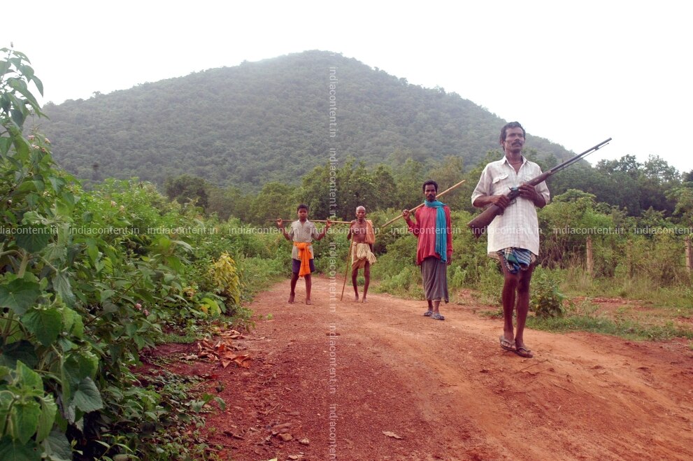 Buy JUNGLE MOVEMENT Pictures, Images, Photos By MANEESH AGNIHOTRI ...