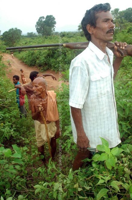 Buy JUNGLE MOVEMENT Pictures, Images, Photos By MANEESH AGNIHOTRI ...