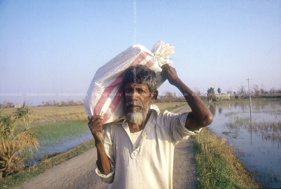 Buy ORISSA CYCLONE VICTIM Pictures, Images, Photos By BHASKAR PAUL ...