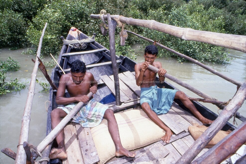 Buy BOATMEN AT SUNDERBANS MANGROVE Pictures, Images, Photos By BHASKAR ...