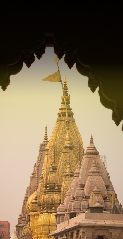 Kashi Vishwanath Temple Varanasi Info Timings Photos Kashi Vishwanath